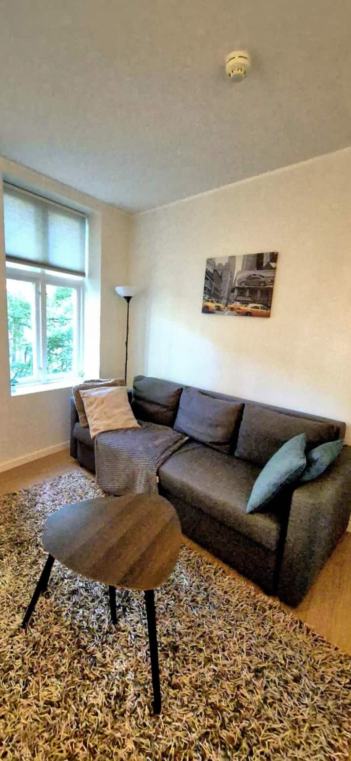 Meget Sentral, Lys, Koselig Og Skjermet Leilighet - Oslo