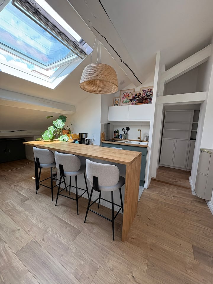 Appartement Cosy Sous Les Toits - Lyon