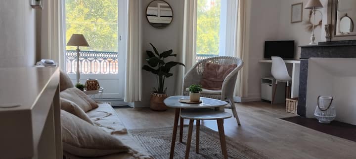 T1  Bis De Charme Gare Toulouse - Toulouse