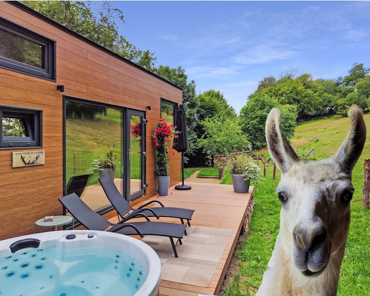 La Mini Maison Du Lama - Libin
