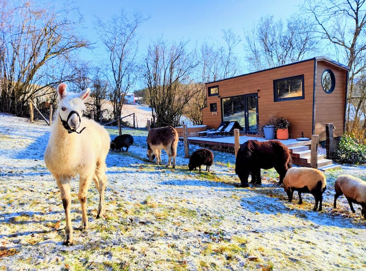 La Mini Maison Du Lama - Wellin