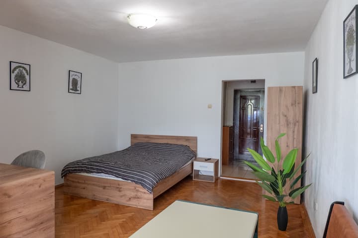 Alma Guest House Self Check In - Timișoara