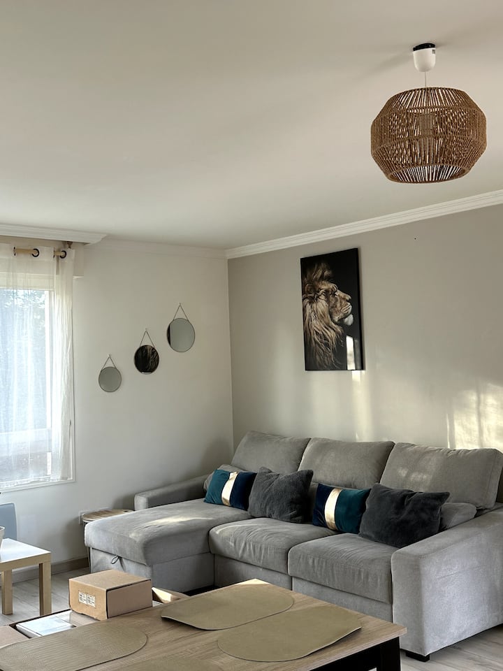 Appartement Saint Julien En Genevois - Saint-Julien-en-Genevois