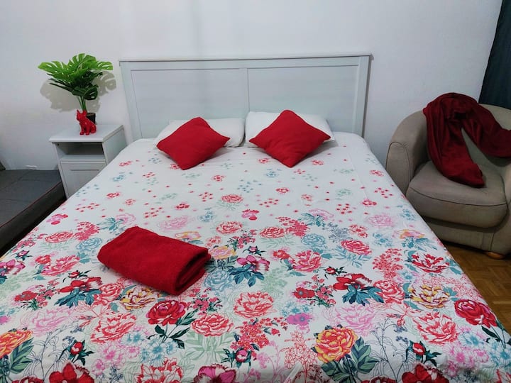 Luminosa Habitación En  Centro De Lausanne - Lausanne