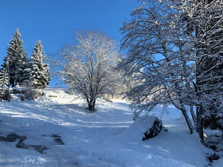 Le Refuge D'annelise - Lac de Longemer