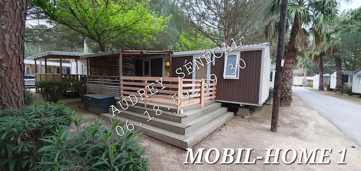Mobilhome  6/8 Personnes - Saint-Cyprien Plage