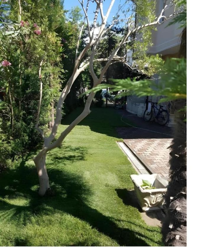 All Seasons Villa 1 - Spille