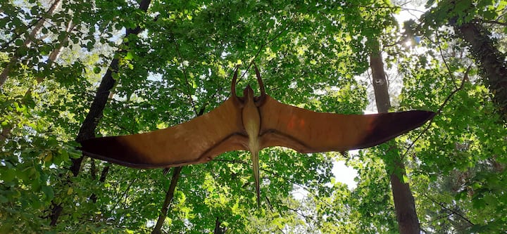 Ferienwohnung Jurassic Harz (100%ökostrom/biogas) - Seesen
