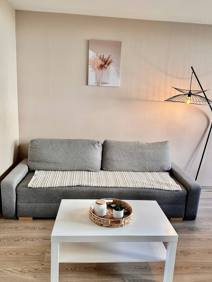 Chez Cyril -Spacieux - 6 Personnes - Tarbes