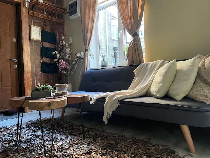 Exquisite 1br/ba Apt W/ Free Parking In Center - Latvia