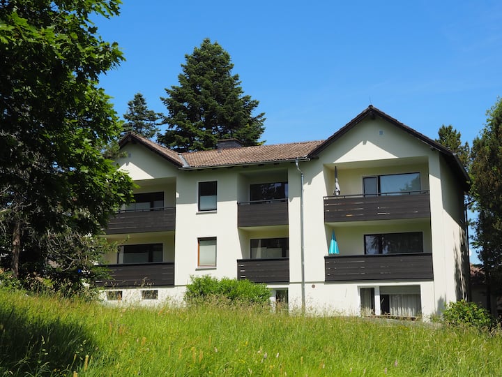 Ferienwohnung In Braunlage Zentral - Braunlage