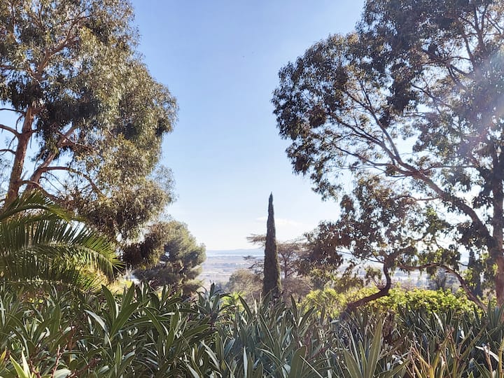 Appartement à 2 Min De La Plage De L'almanarre - ibis Thalassa Hyeres Plage