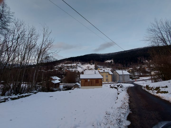 L'améthyste  Appartement Ventron - Vogesen