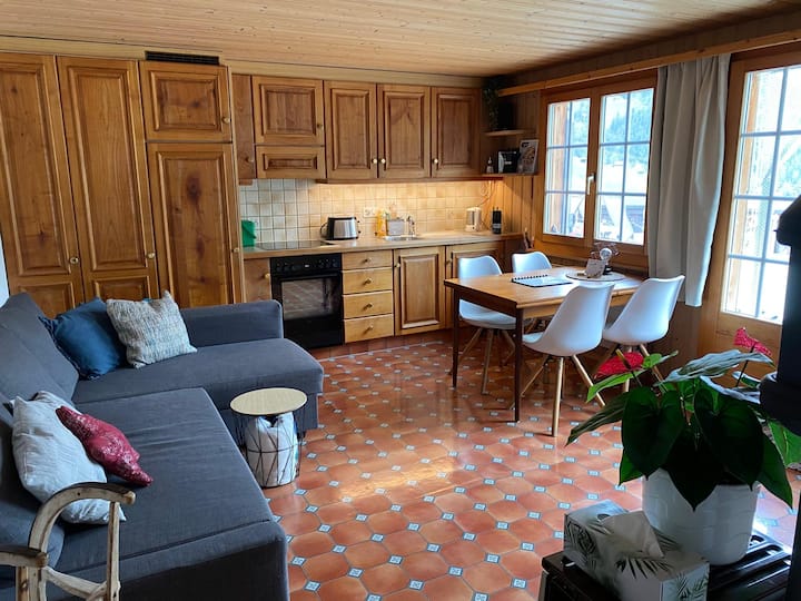 2 Zimmer - Grosse Dachterrasse - An Der Piste - Grindelwald
