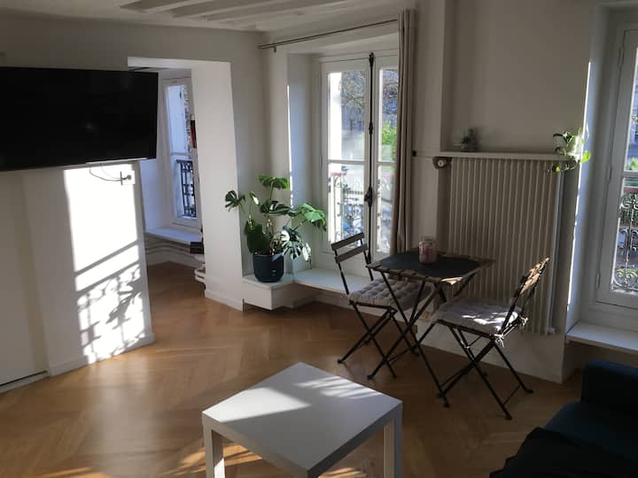 Appartement Aux Charmes Parisiens - Musée du Louvre