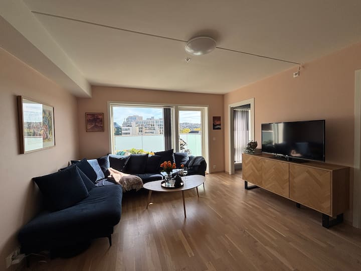 Moderne Og Lys 2-roms Leilighet På Helsfyr/ensjø - Oslo