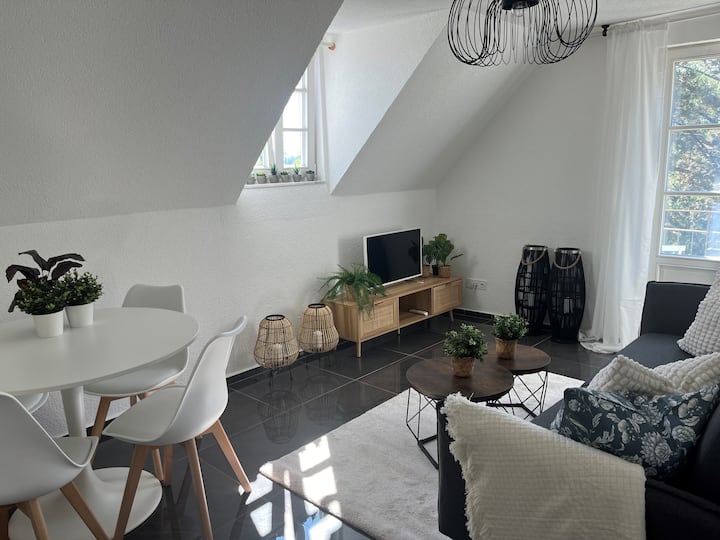 Sjarmerende Leilighet Sentralt I Luzern - 陸森市