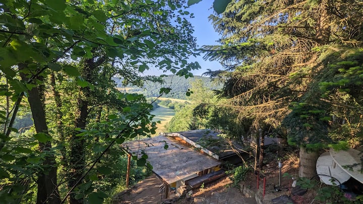 Seltene Naturlage - Nationalpark Eifel - Waldhütte - Nationalpark Eifel