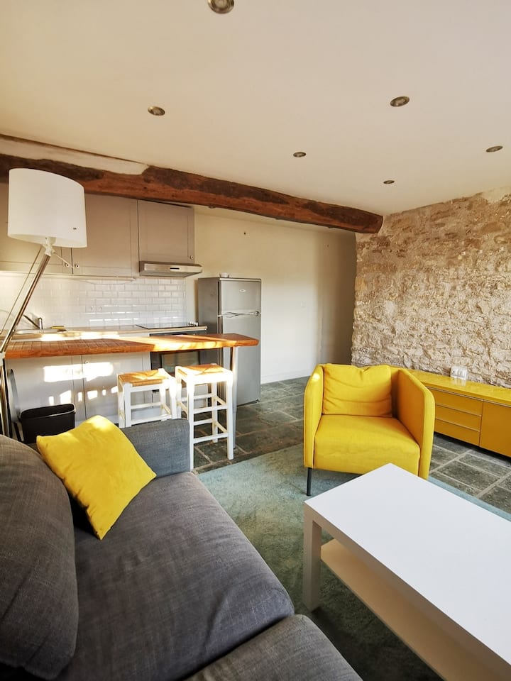 Charmant Appartement 2 Pièces 37m² - Conflans-Sainte-Honorine