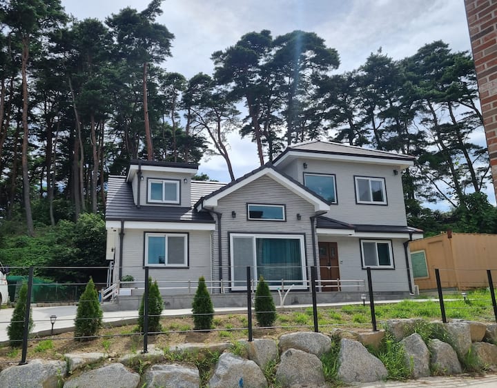 노세모세 - 江陵