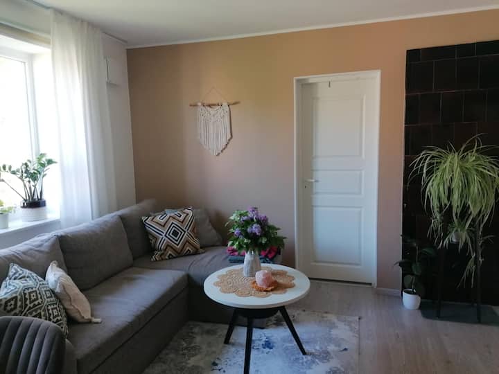 Cozy Flat In Tallinn-4 Quests.flexible Check-out - Tallinn