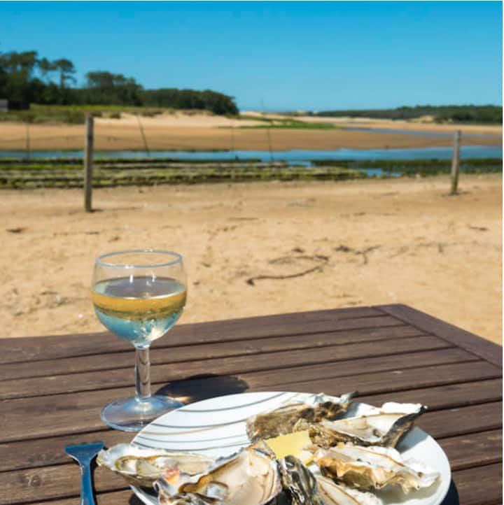 Séjour Paisible En Bord De Mer - La Guittière - Jard-sur-Mer