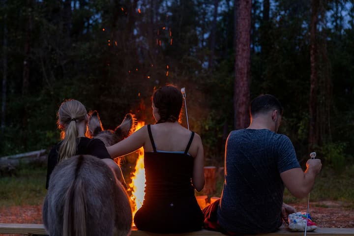 The Goat Farm Rv Retreat - Foley, AL