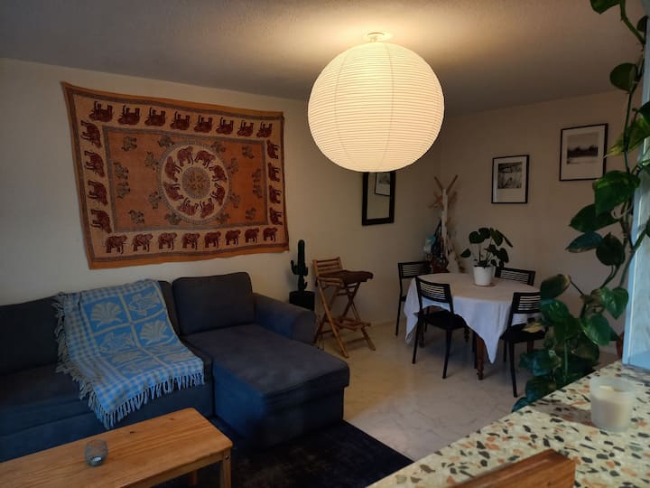 Appartement T3 - Pau