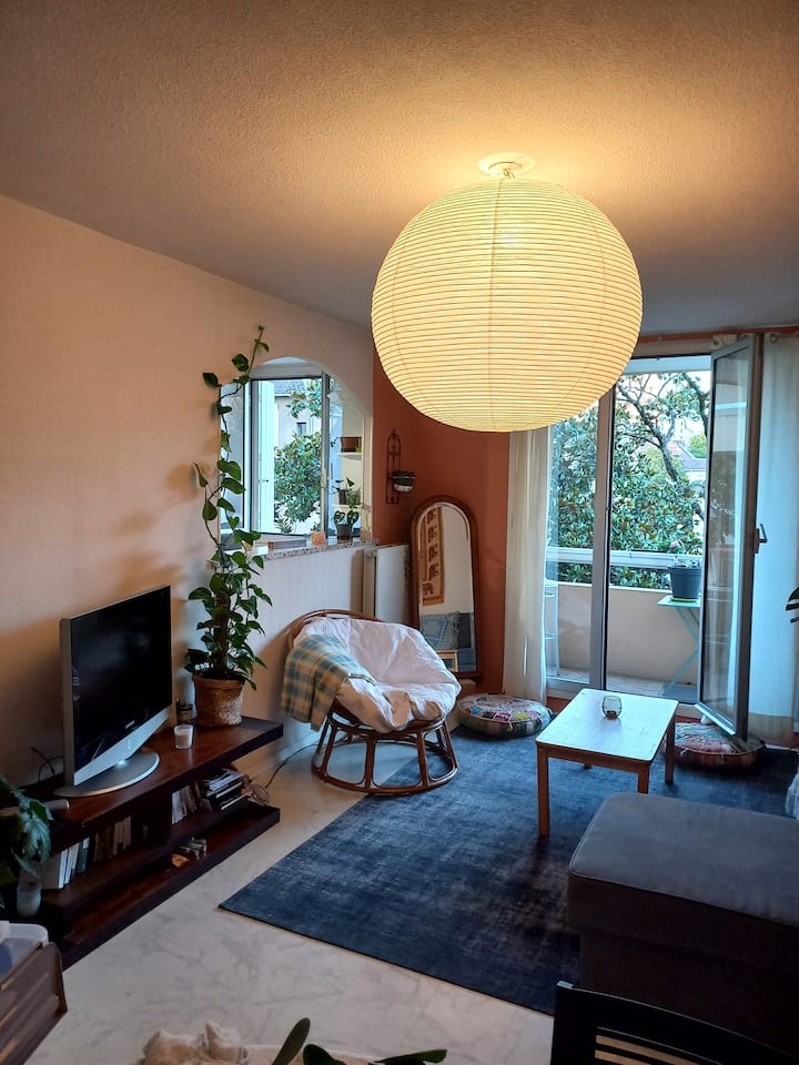 Appartement T3 - Pau