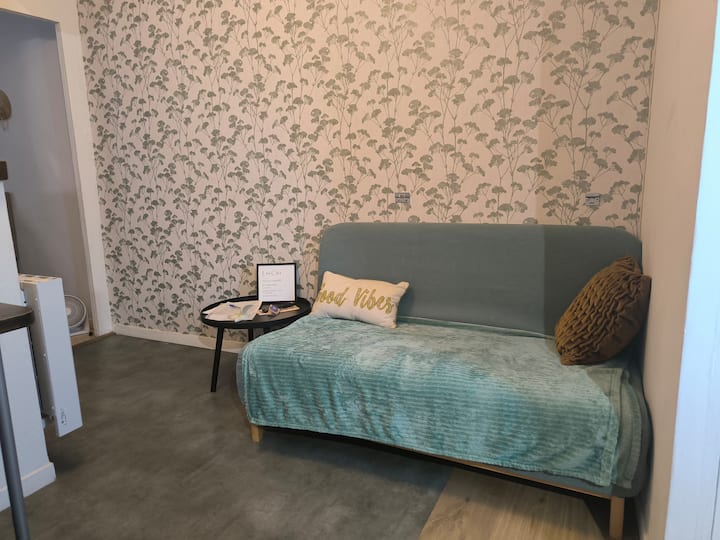 Appartement Cosy 1 Chambre Villefranche-sur-saône - Anse