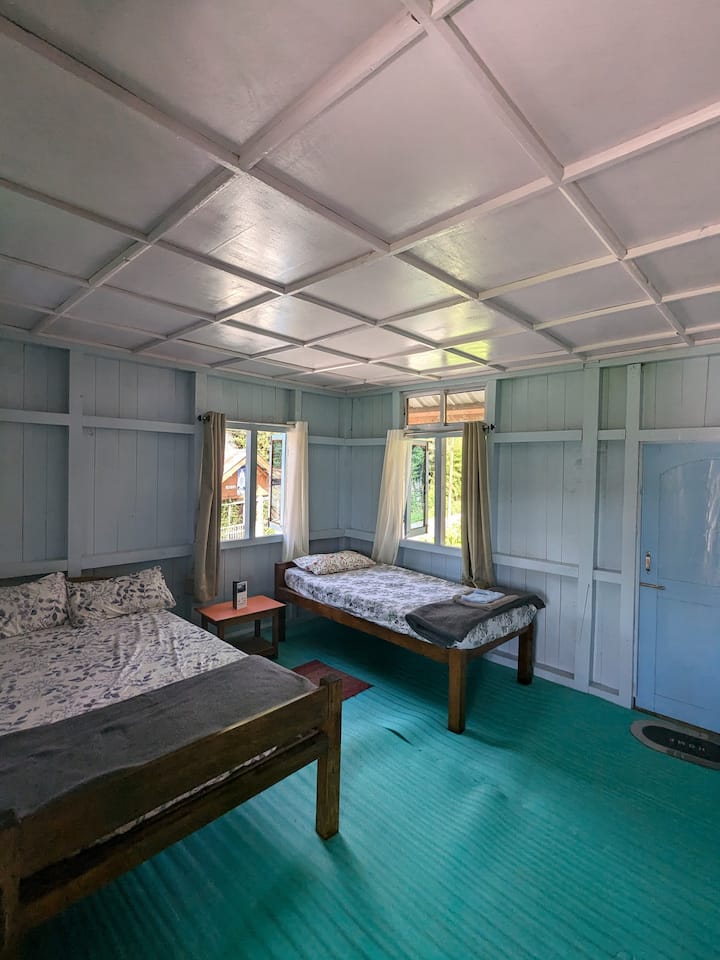 Room 1 - Ziro