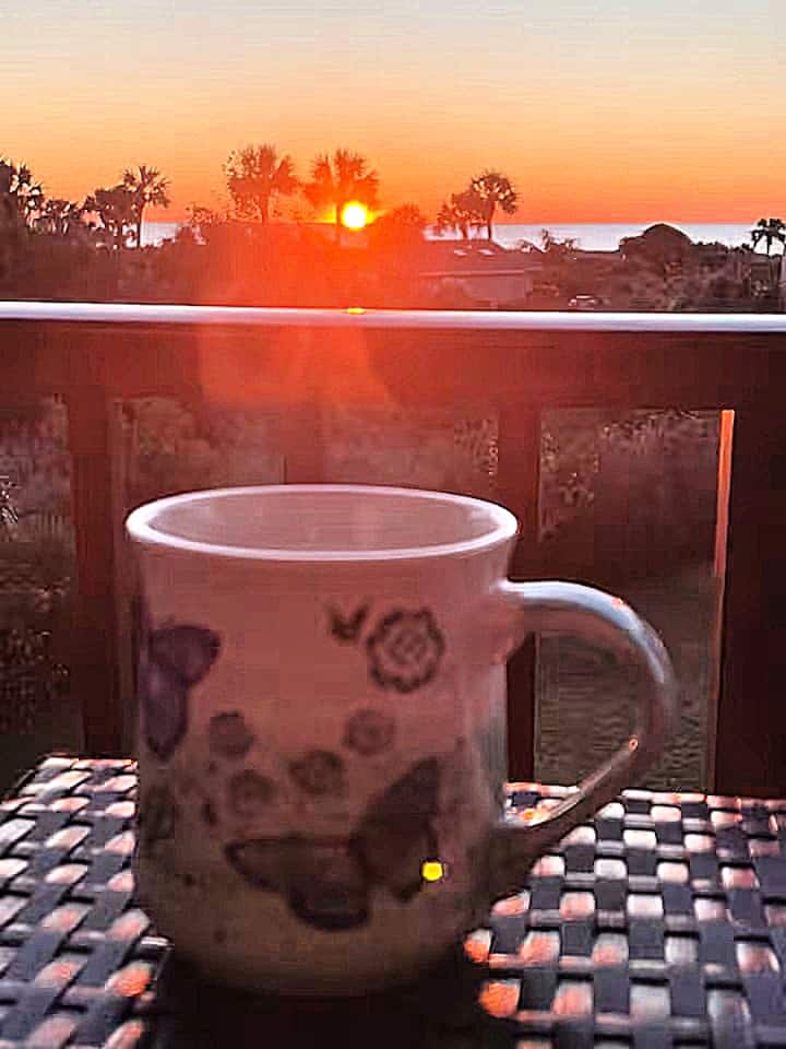 Ocean Front Sunrise View - Steps To Beach - Hilton Head Island, SC