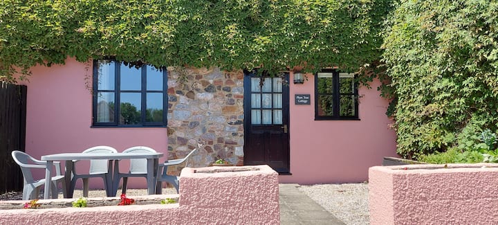 Plum Tree Cottage - Courtyard 2 Bedroom Cottage - Dawlish