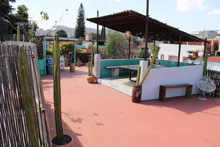 Casa Biche Jalatlaco Hasta 24 Huespedes - Oaxaca de Juárez