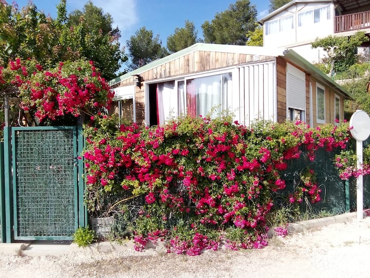Un Coin De Paradis - Martigues