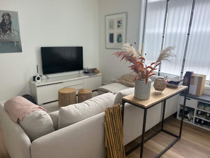 Super En Nieuw Appartement. - Haarlem