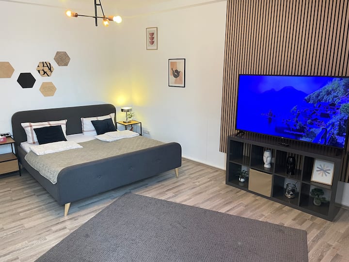 Schöne 2 Zi. Wohnung Im Zentrum - コブレンツ