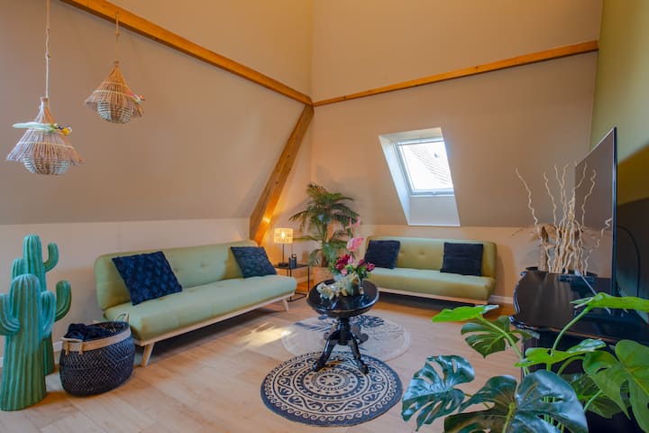 Vignes & Tropiques 4* : Terrasse-clim-parking-wifi - Alsace