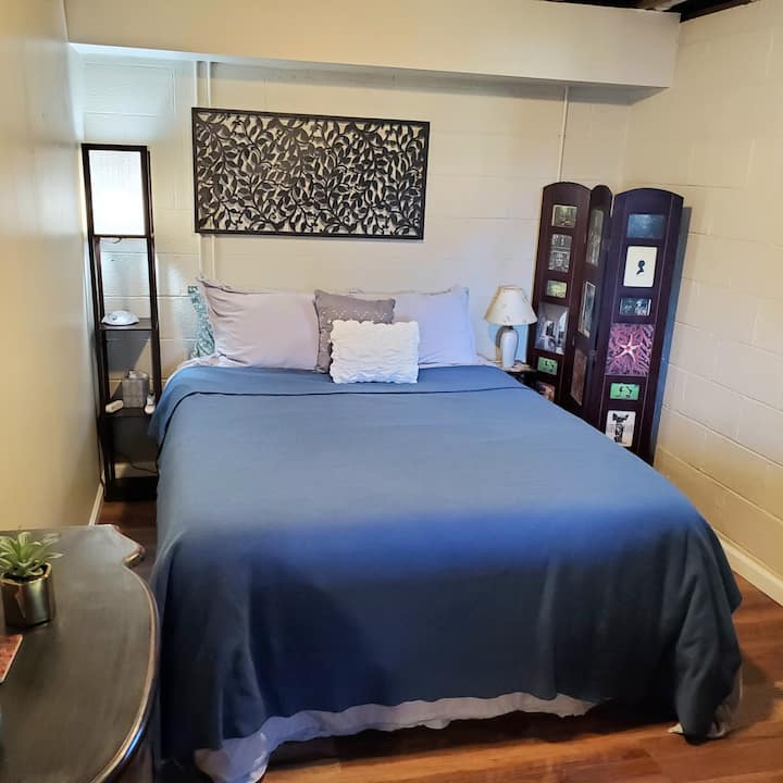 Thanksgiving Special! Basic Belmont Apartment - Charlottesville, VA