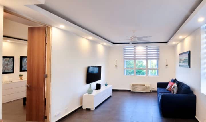 Spacious Apt Tmobile & Conventin Cent/wifi/freepkg - Puerto Rico