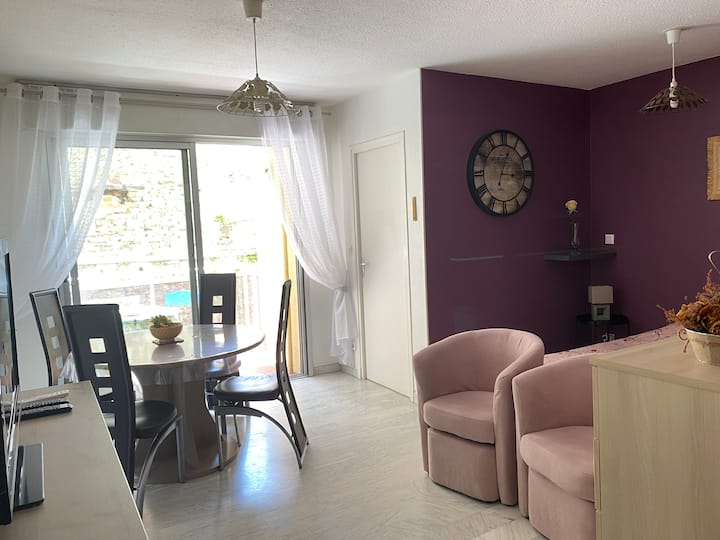 Appartement Climatisé De 28 M² Classé 2 éToiles - Amélie-les-Bains-Palalda