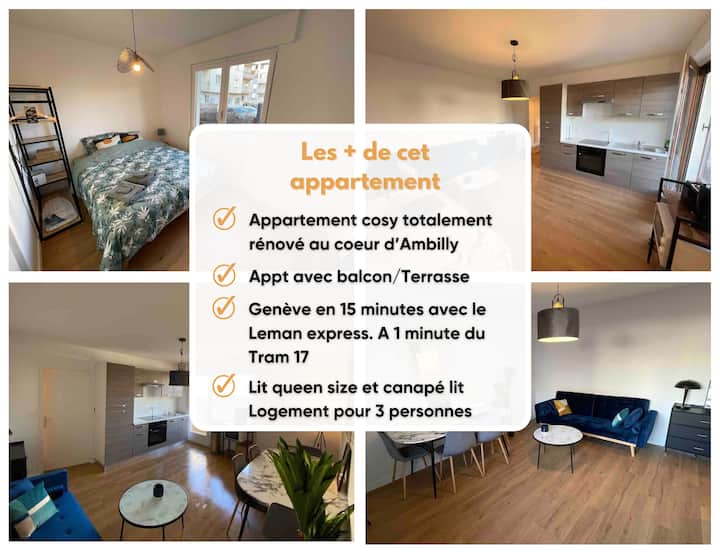 T2 à Ambilly Avec Terrasse, Tram 17, Genève - Gaillard