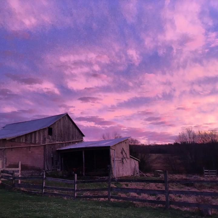 Catskills Organic Farm - Loft Apartment. - Livingston Manor, NY