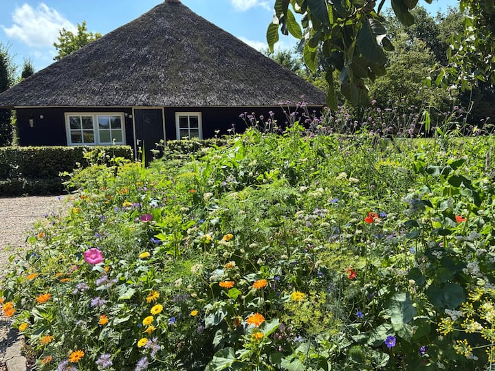 Boerderijtje Botermate, Dalfsen - Dalfsen