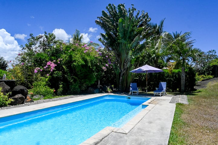 Little Africa - Repas D'arrivée Offert Sur Place - Mauritius