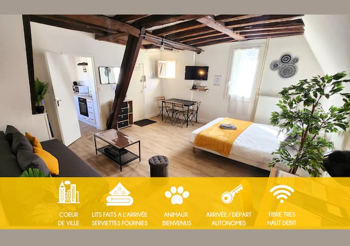 Etape Tourangelle - Grand Studio Cœur De Ville - Tours