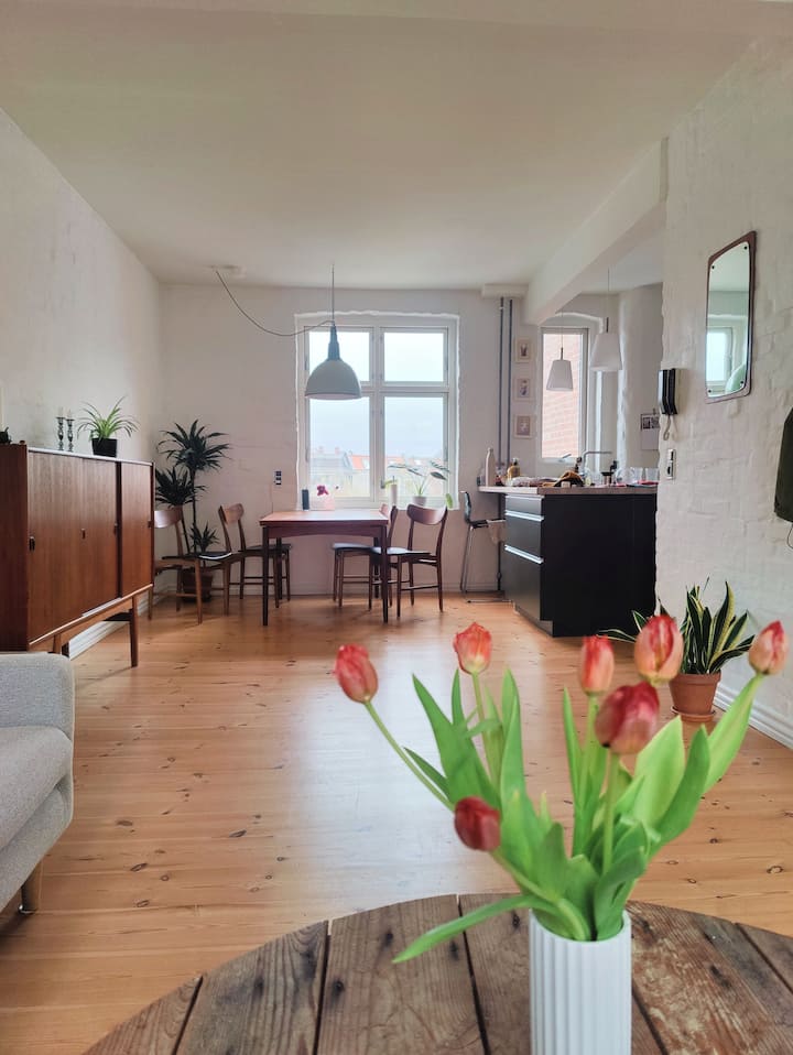 Charmerende Lejlighed I øGaderne - Aarhus