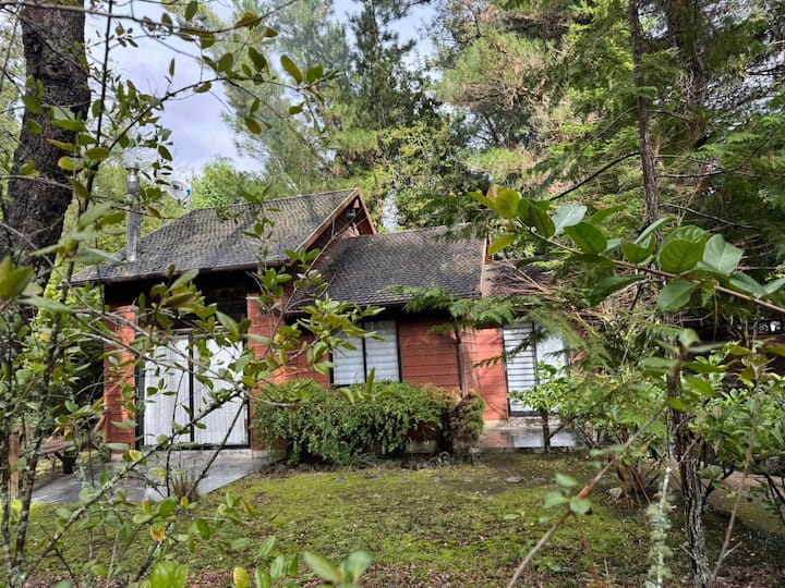 Descansa, Relájate Y Disfruta - Pucón