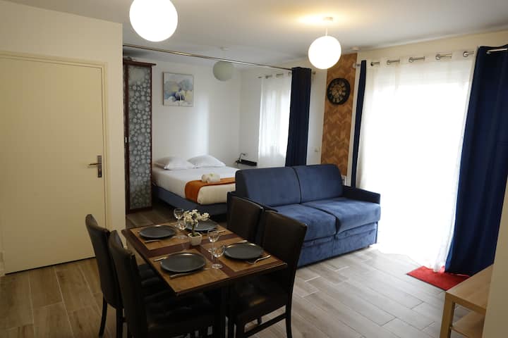 Le Vinyle - Odi Rent - Le Blanc-Mesnil