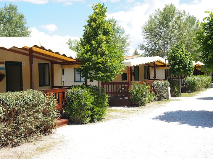 Tuscany Chalets - Chalet Toscane Aan Zee Viareggio - Viareggio